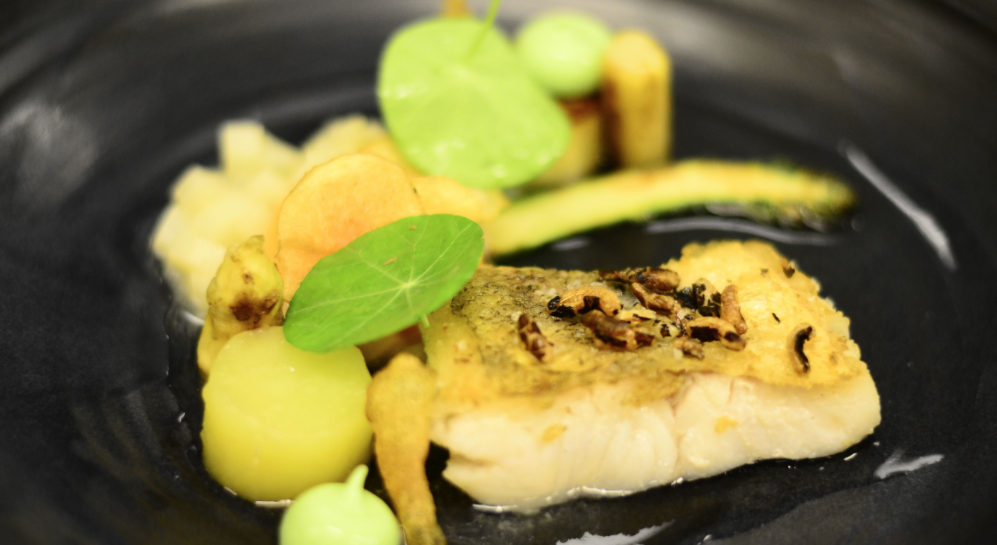 Zanderfilet mit grünem Spargel - www.nahundfrisch.at